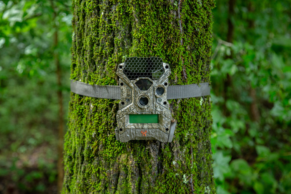 Trail Cameras